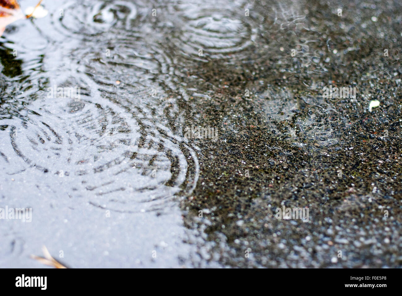 Raindrop rings in a puddle Stock Photo - Alamy