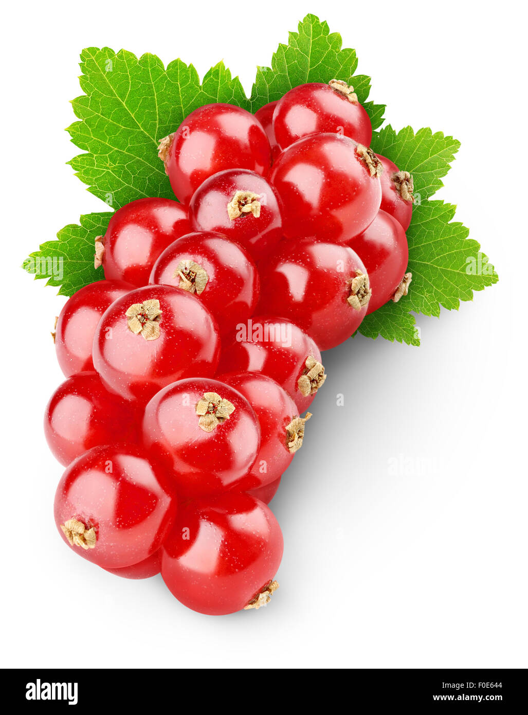 Close up white currants hi-res stock photography and images - Alamy