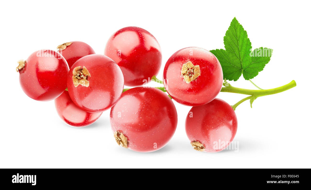 Red berries currant on Cut Out Stock Images & Pictures - Alamy