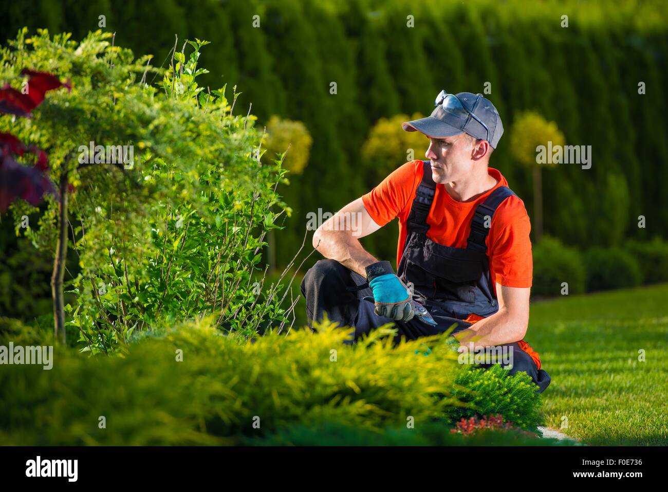 Creative Garden Designer. Professional Gardener Thinking About His ...