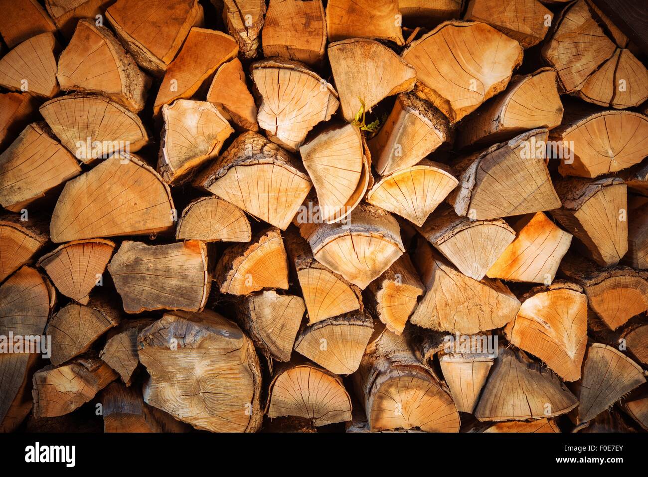 Bundle firewood hi-res stock photography and images - Alamy