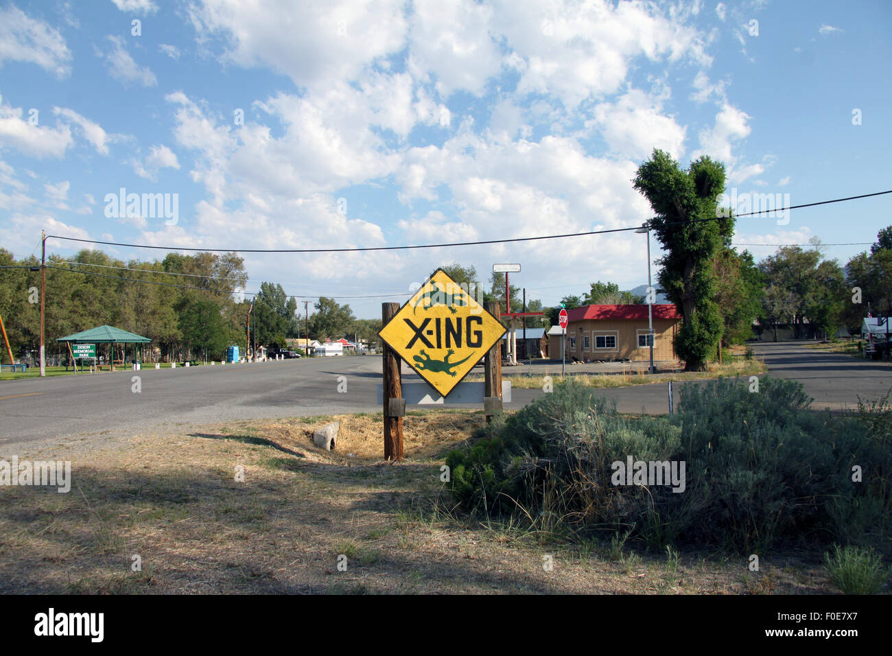 Lizard crossing sign hi-res stock photography and images - Alamy