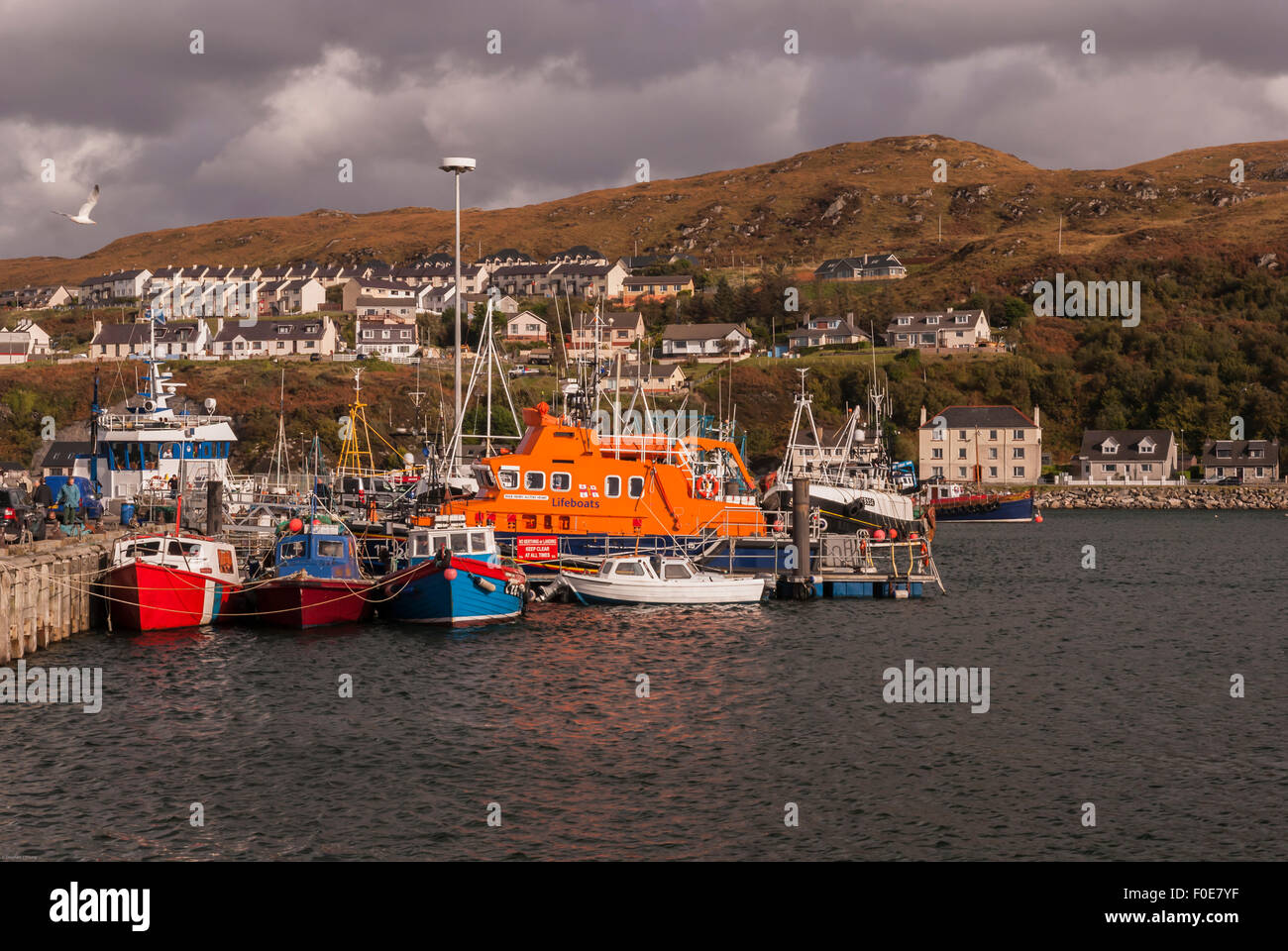 The Lifeboat and fishing fleet in harbour at Mallaig, Lochaber ...