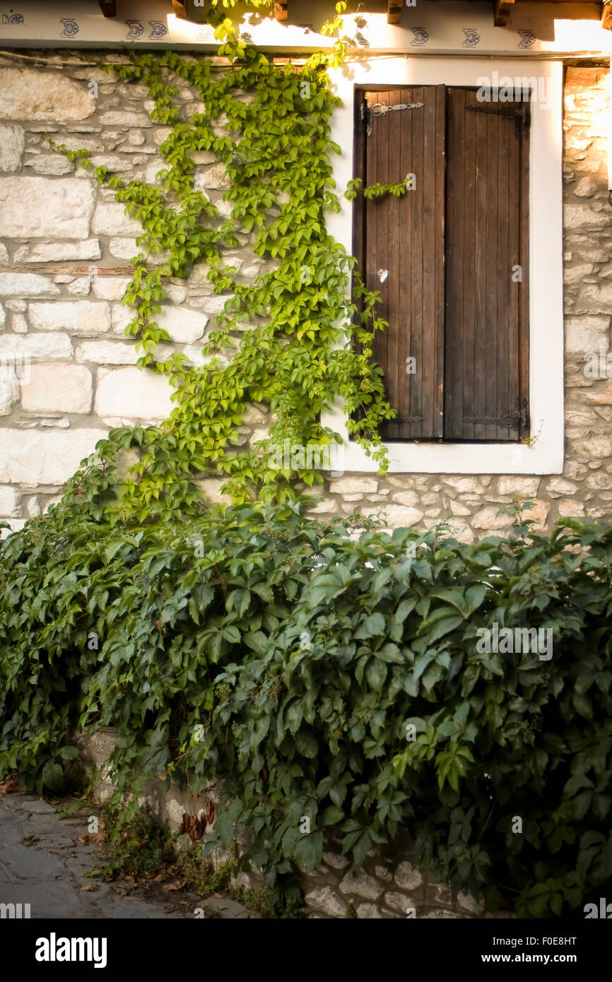 A long elegant wooden window detail with many leafs surrounded Stock ...