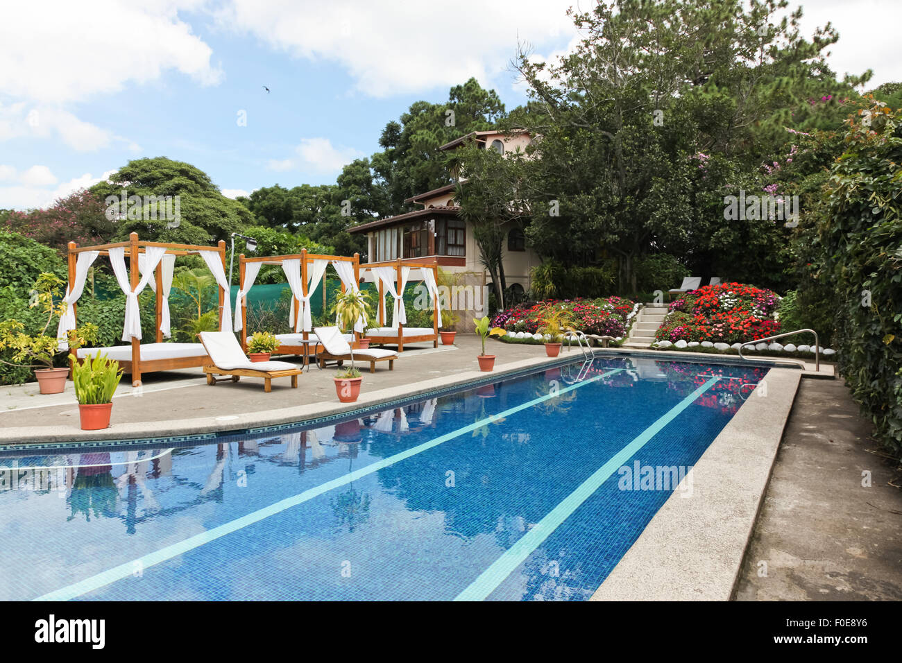 A beautiful blue tiled pool with wooden patio furniture is secluded by ...