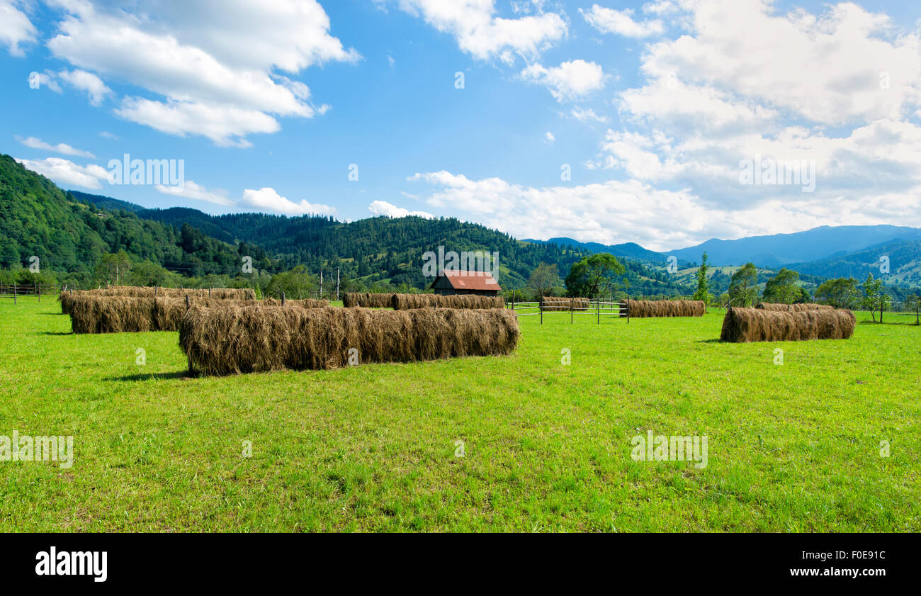 Hay piles hi-res stock photography and images - Alamy