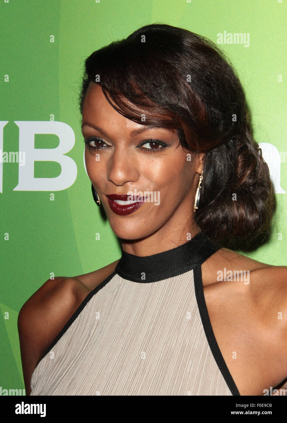 Los Angeles, California, USA. 13th Aug, 2015. Judi Shekoni attends ...