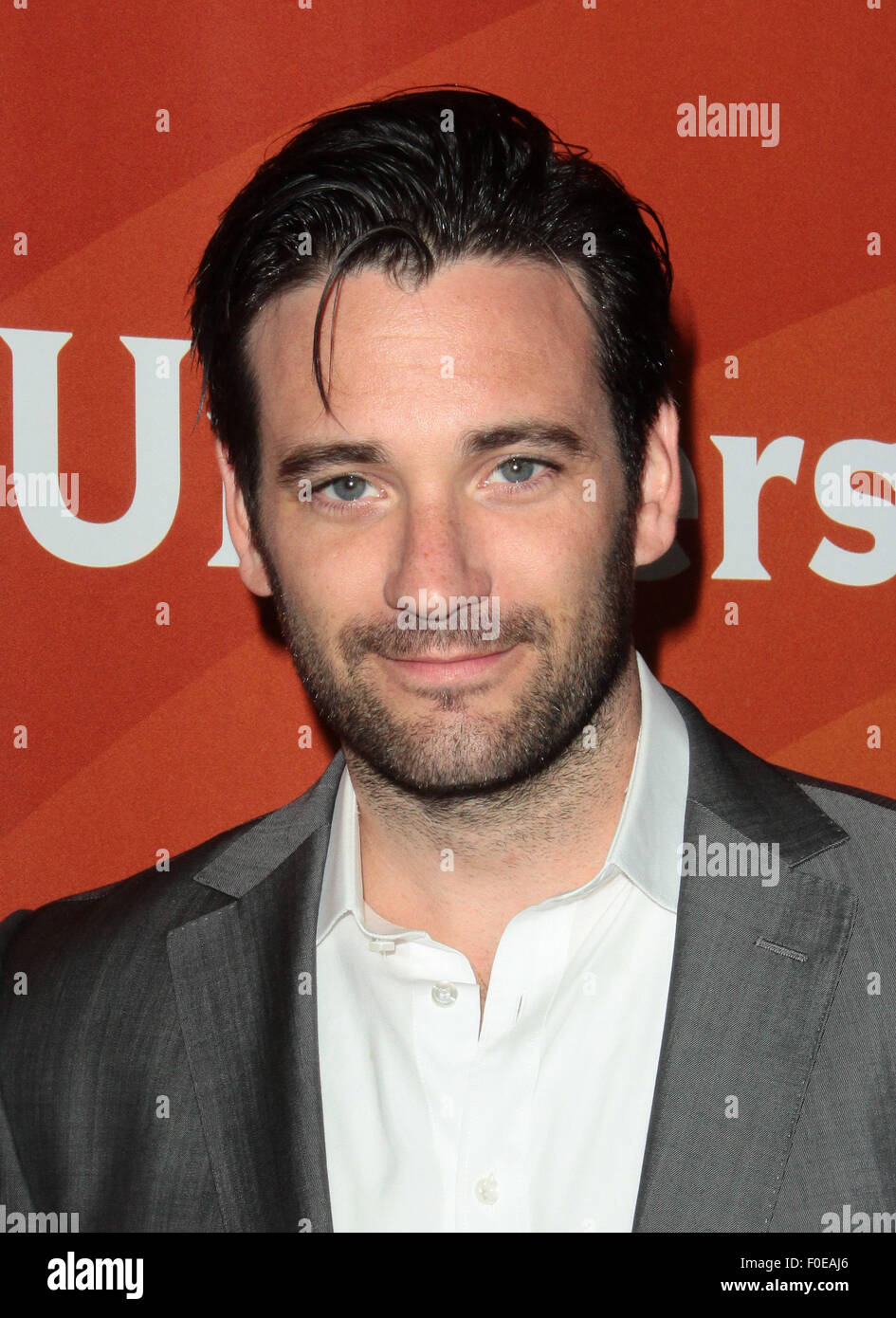 Los Angeles, California, USA. 13th Aug, 2015. Colin Donnell attends ...