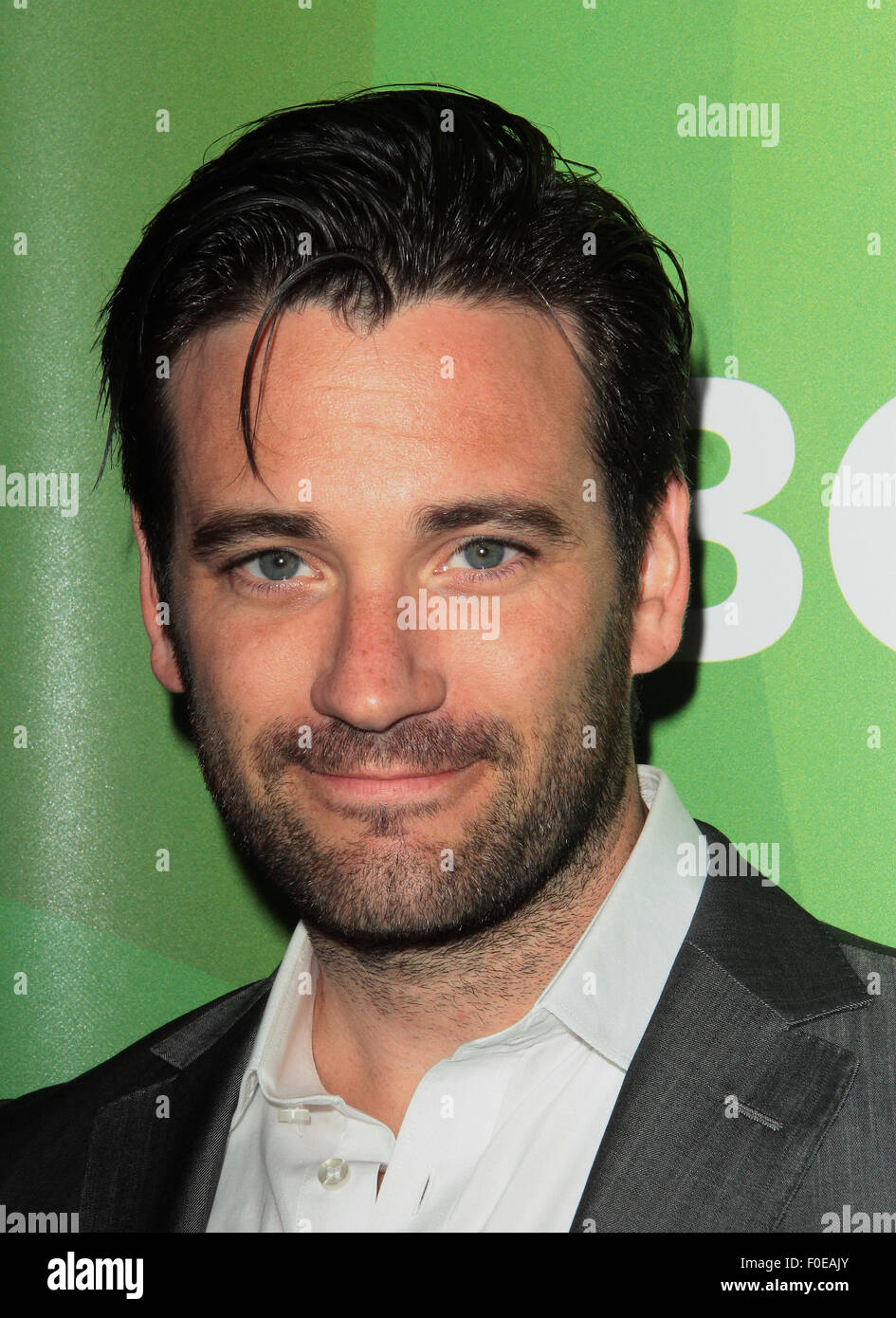 Los Angeles, California, USA. 13th Aug, 2015. Colin Donnell attends ...