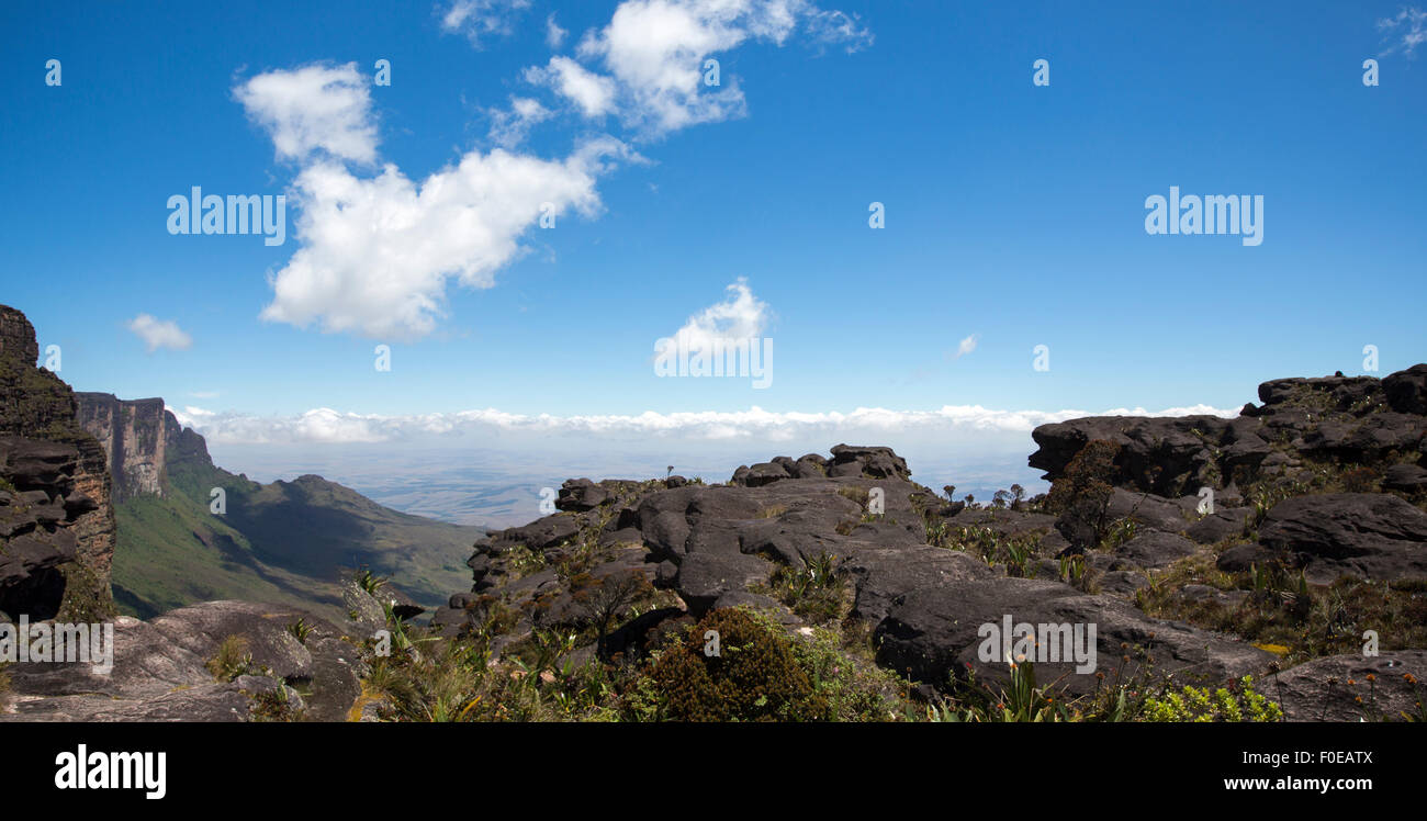 Panorama from the top of the Roraima Tepui with blue sky - Table ...