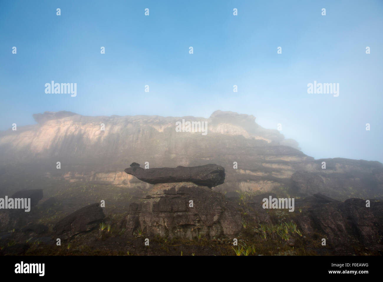 Panorama of wild landscape at the top of Mount Roraima with fog and a ...