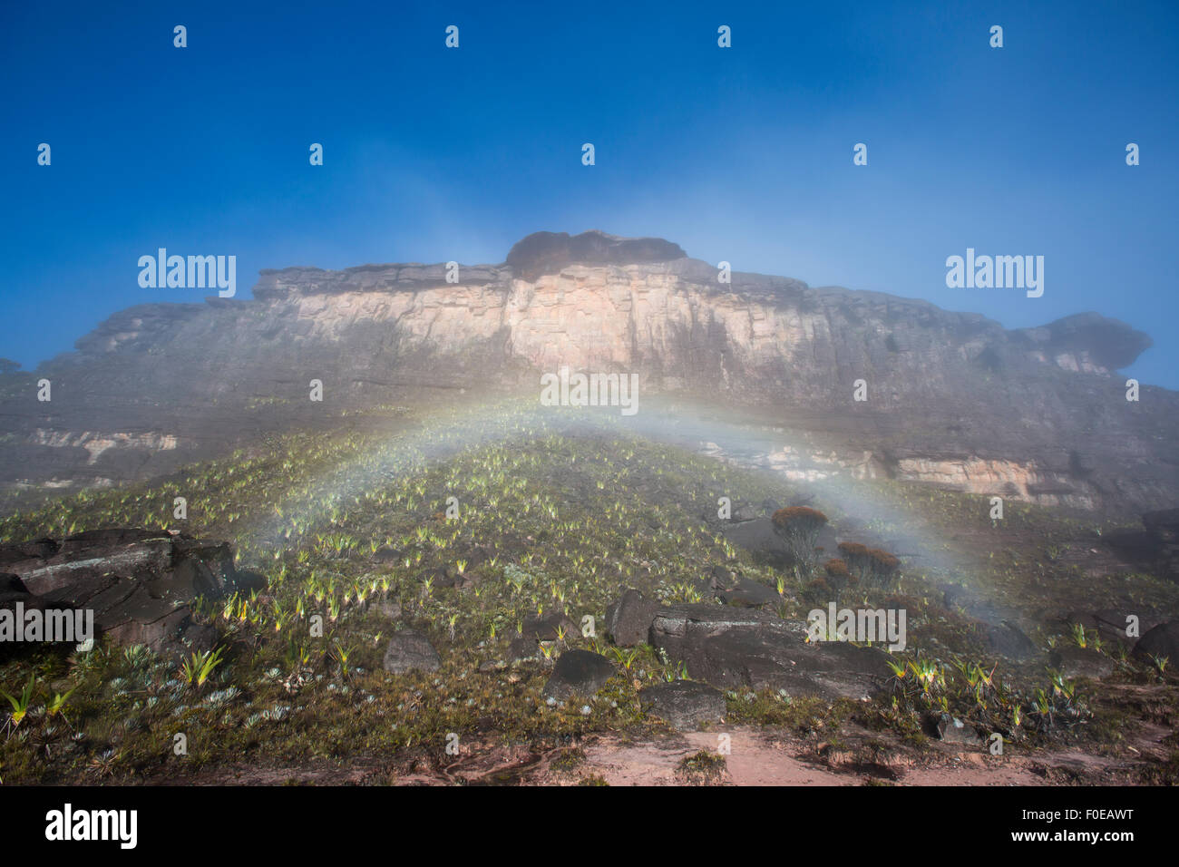 Rainbow and wild landscape at the top of Mount Roraima with fog. Gran ...