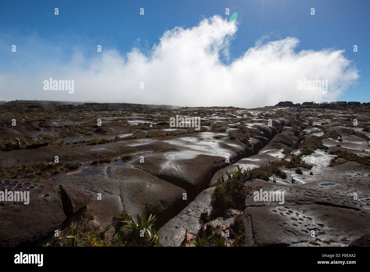 Wild landscape at the top of Mount Roraima with clouds early in the ...