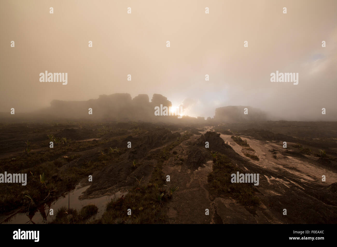 Panorama of wild landscape at the top of Mount Roraima with fog early ...