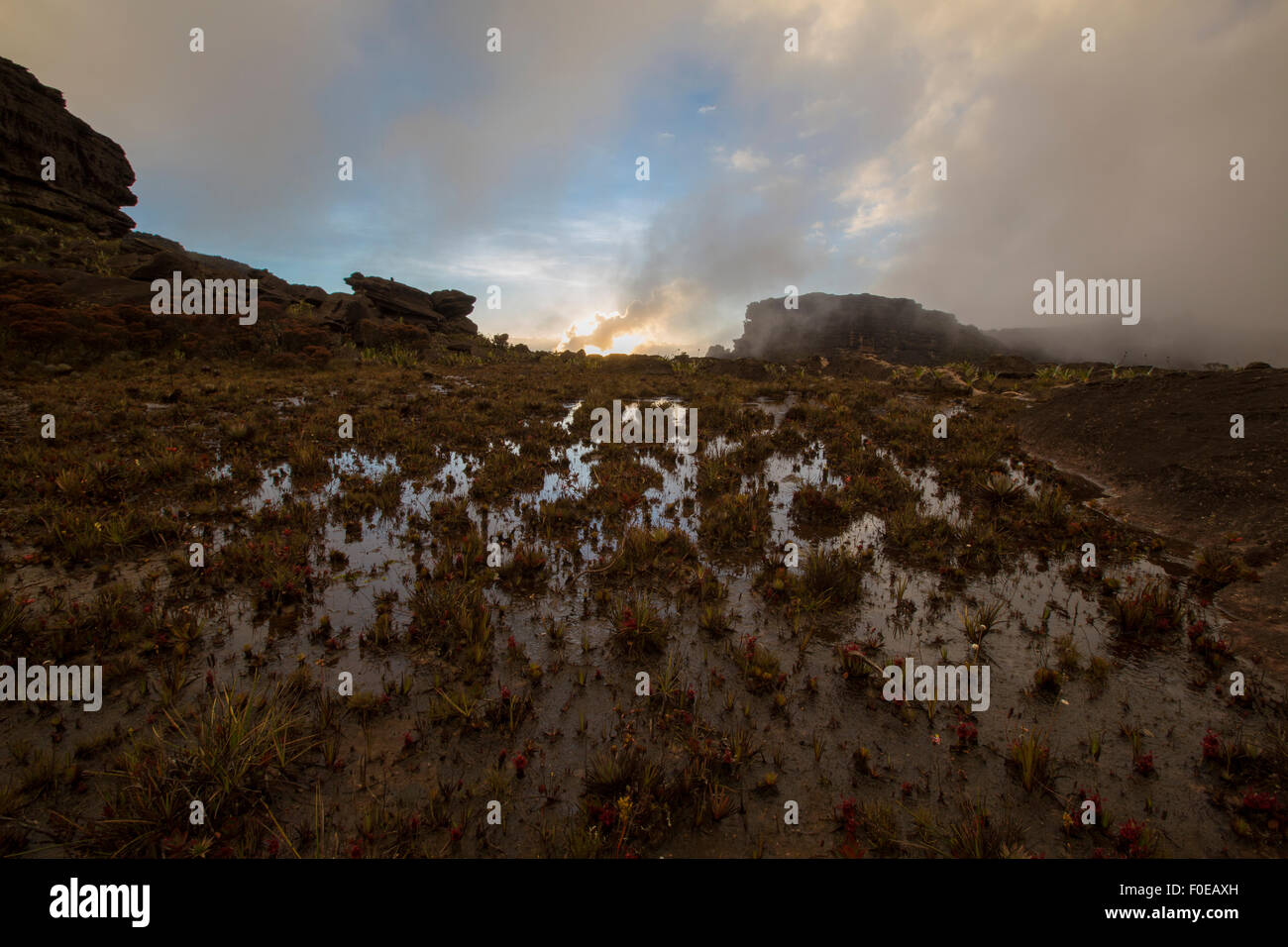 Wild landscape at the top of Mount Roraima with fog early in the ...