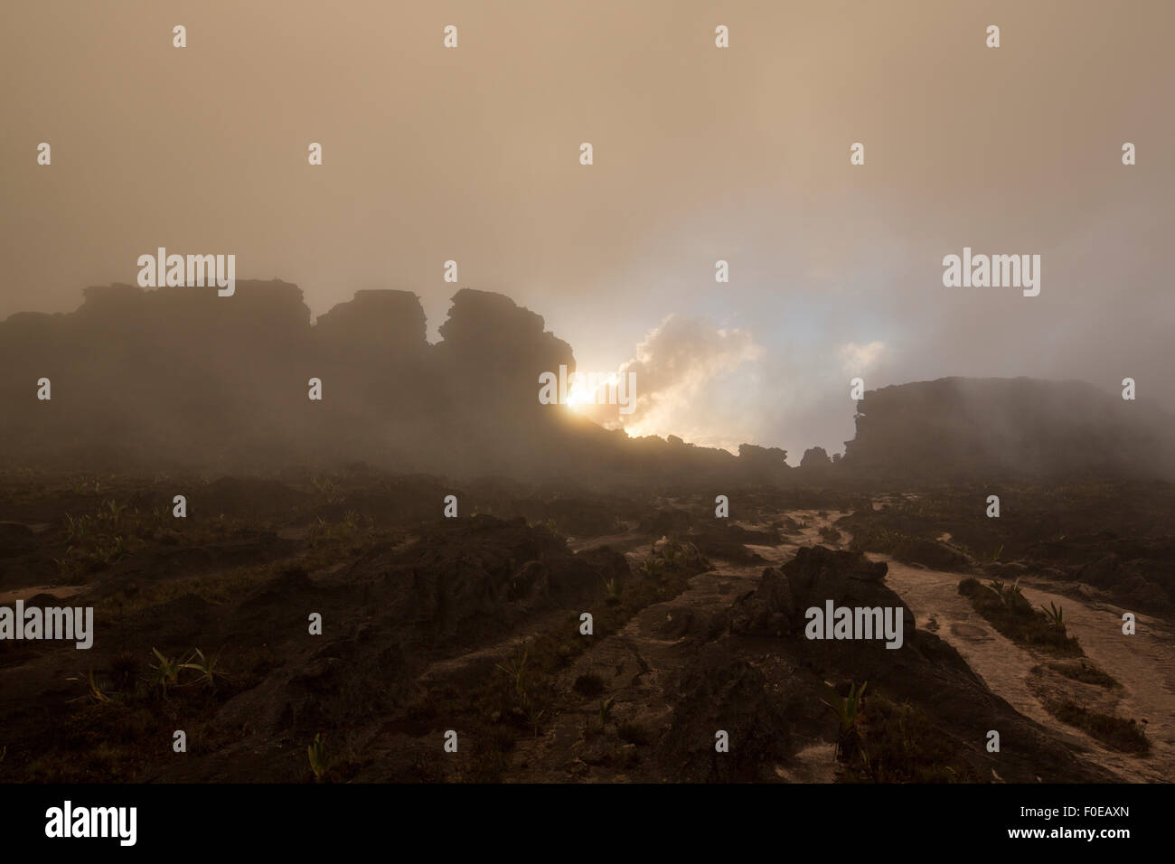 Panorama of wild landscape at the top of Mount Roraima with fog early ...