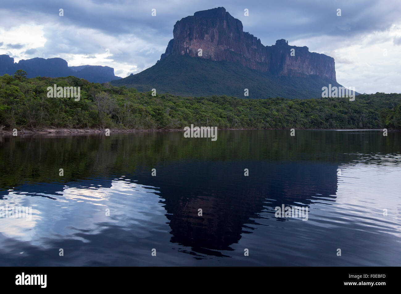 Auyantepui hi-res stock photography and images - Alamy