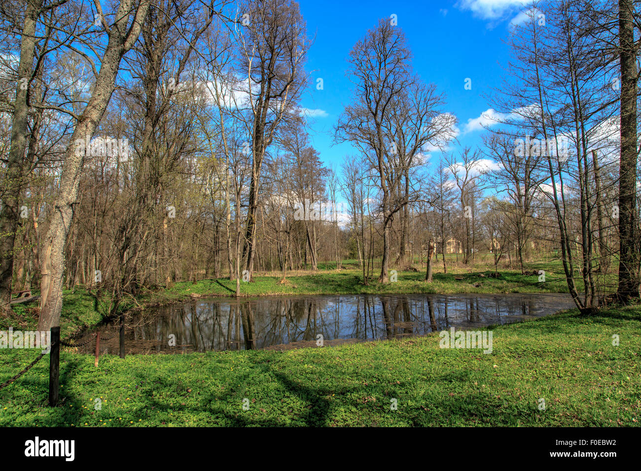 Close up front view of small lake in meadow area among trees in forest ...