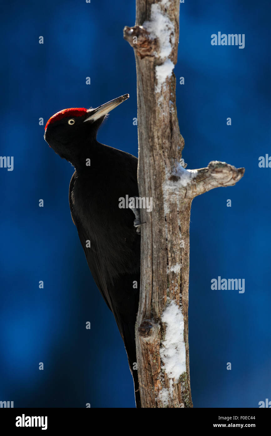 Korouma hi-res stock photography and images - Alamy