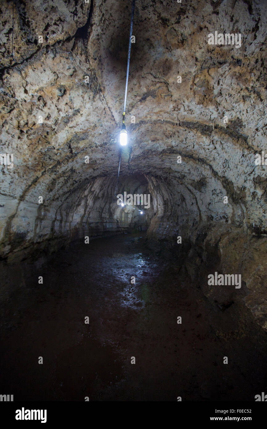 Interior of a lava tube near Puerto Ayora on Isla Santa Cruz Island ...