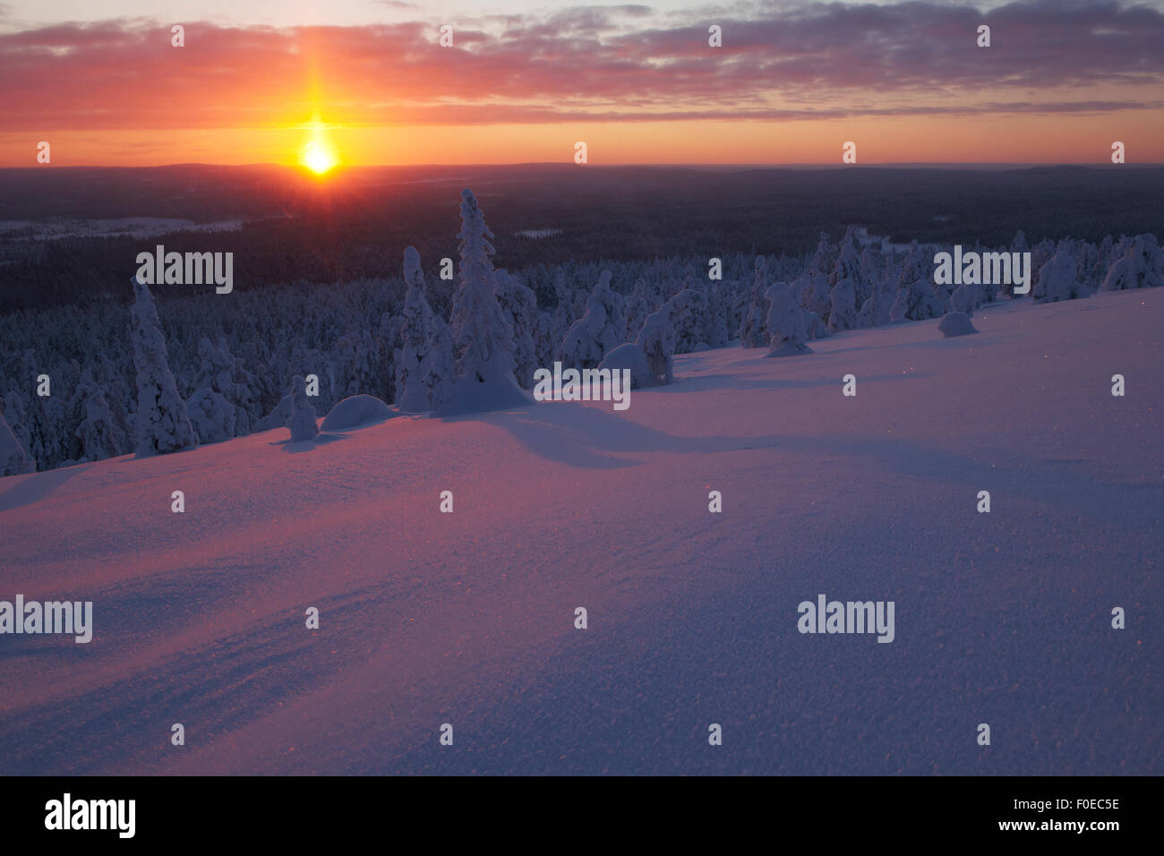 Sunset over a snow covered landscape, Riisitunturi National Park ...