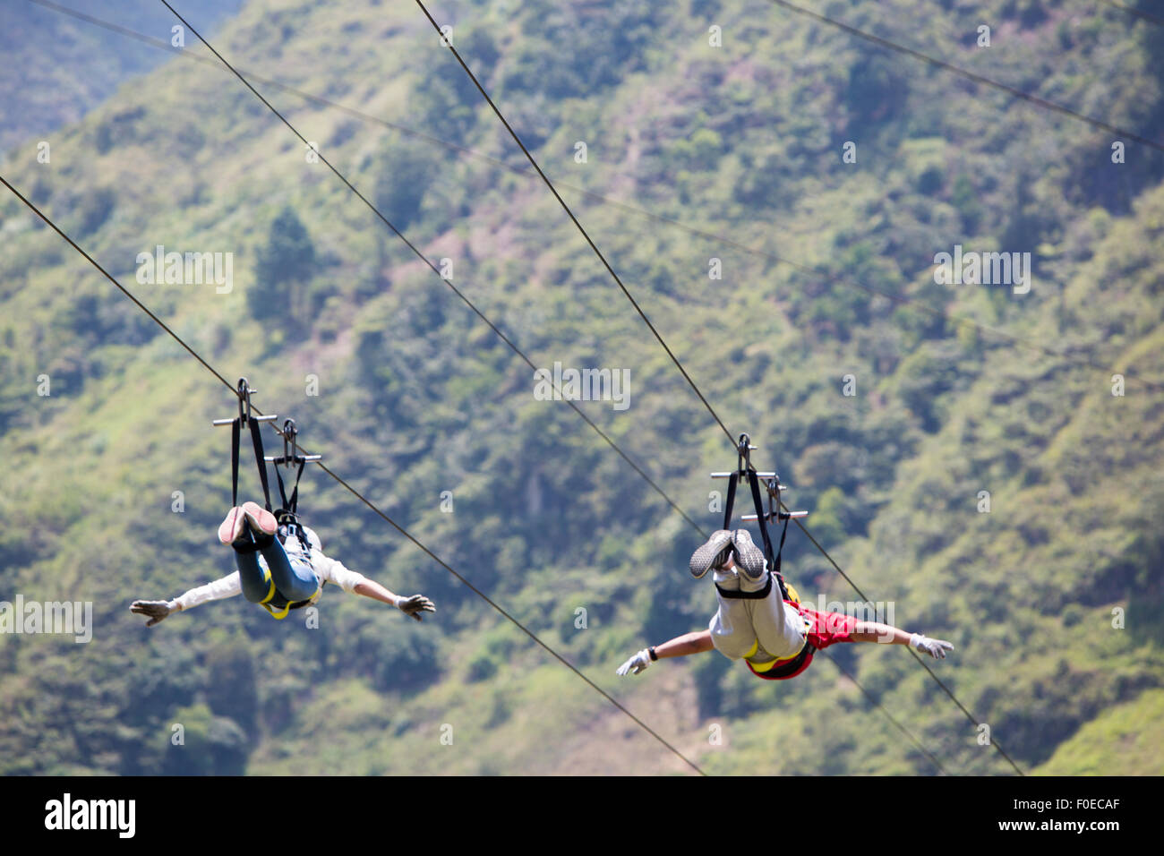 People falling on a zip line adventure park in Ecuadorian rainforest ...