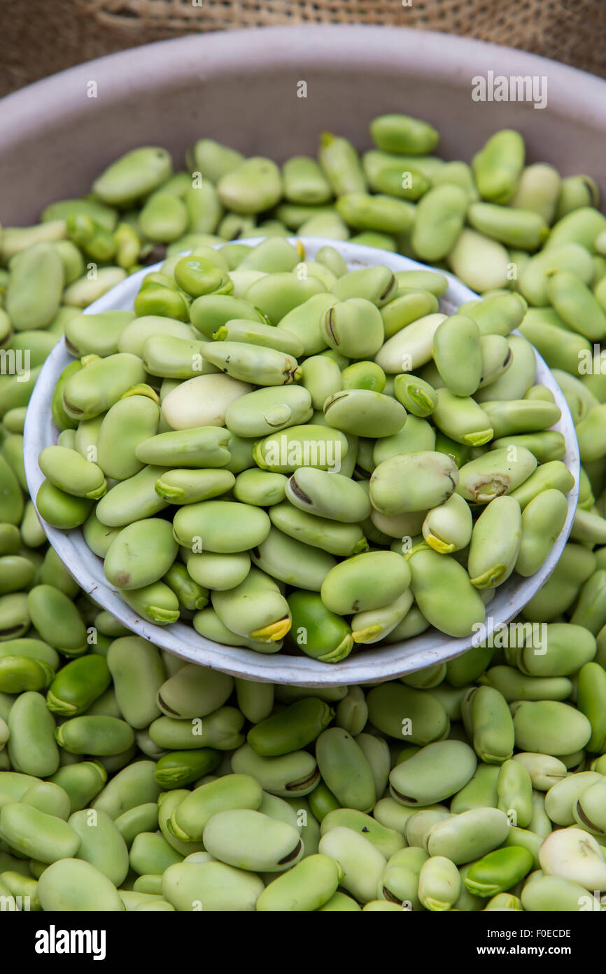Background of green raw broad beans in Andean food market, Otavalo ...