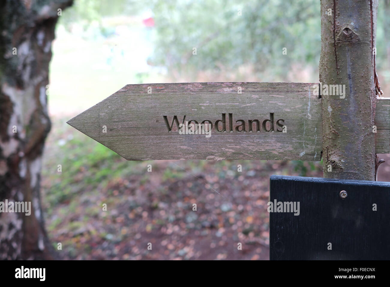 Signpost showing the way to the Woodland Stock Photo - Alamy