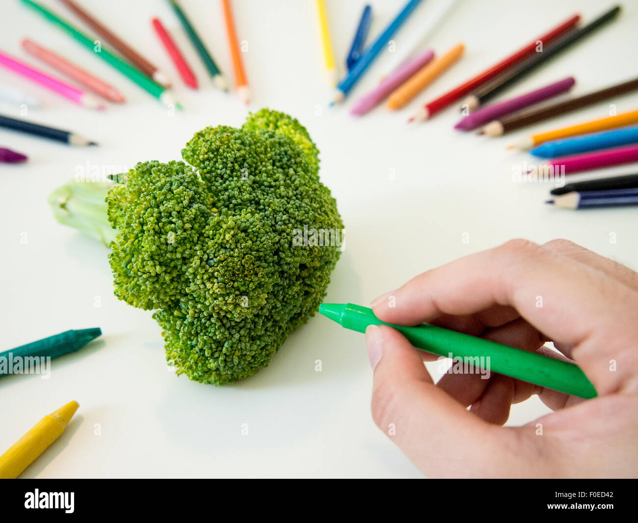 Broccoli drawing hi-res stock photography and images - Alamy