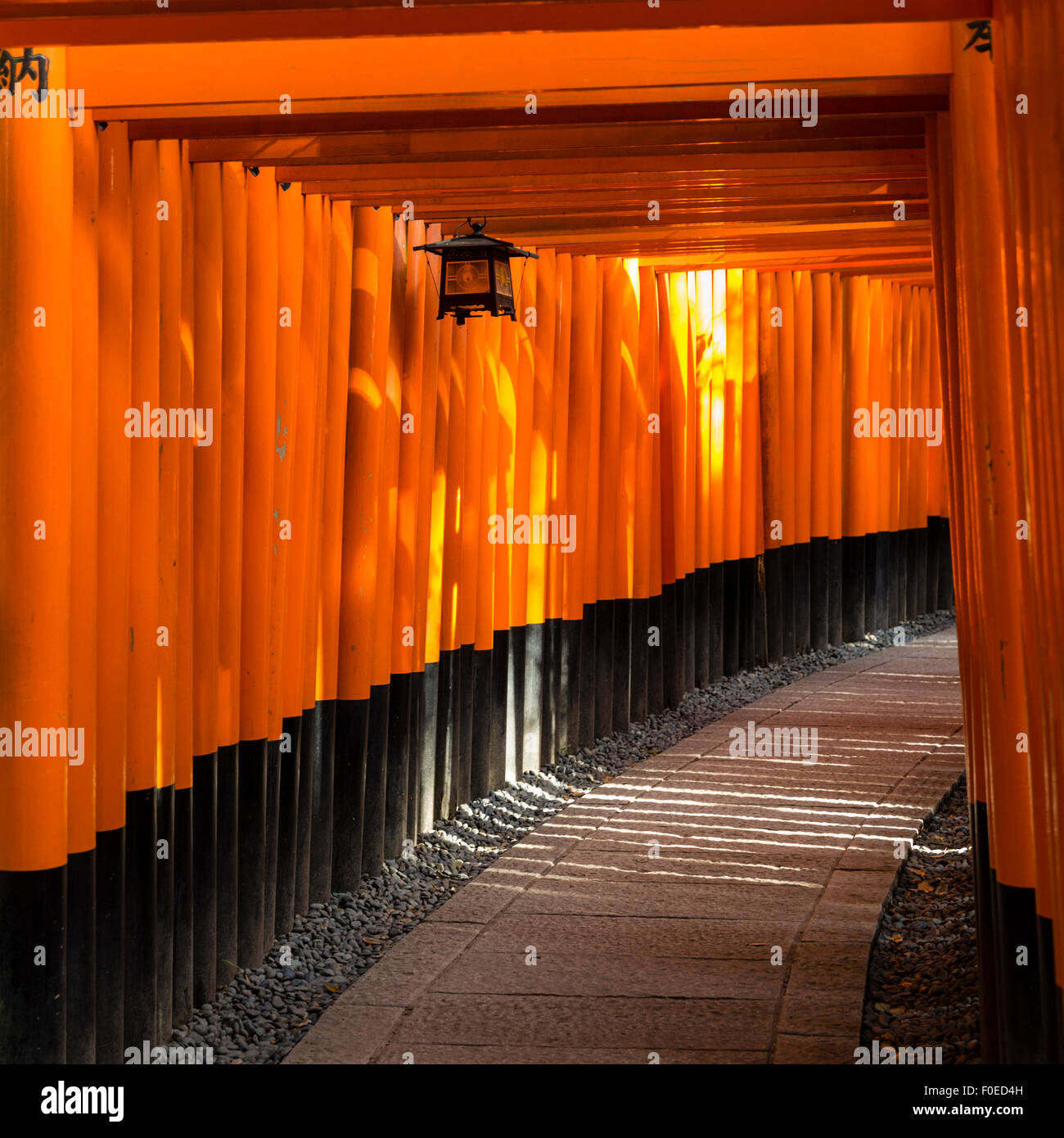 Vermilion torii along pathway in Fushimi Inari Shinto Shrine near Kyoto ...