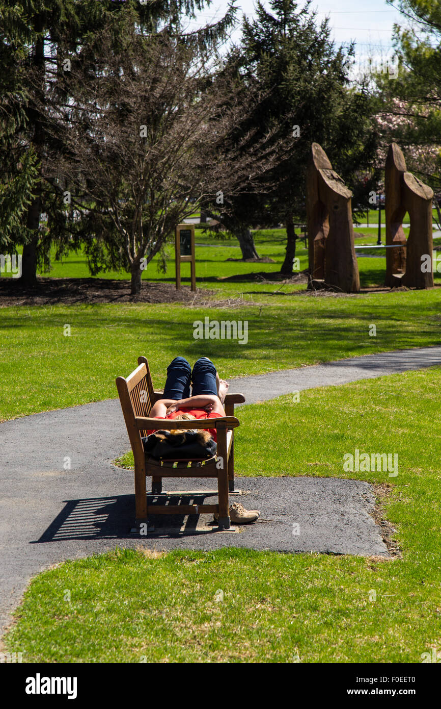 A person lying on a park bench in a serene scene at a suburban park ...