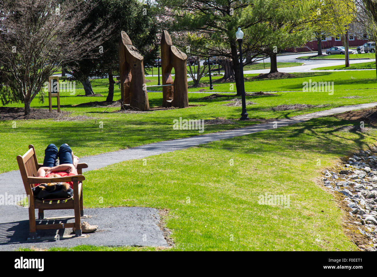 A person lying on a park bench in a serene scene at a suburban park ...