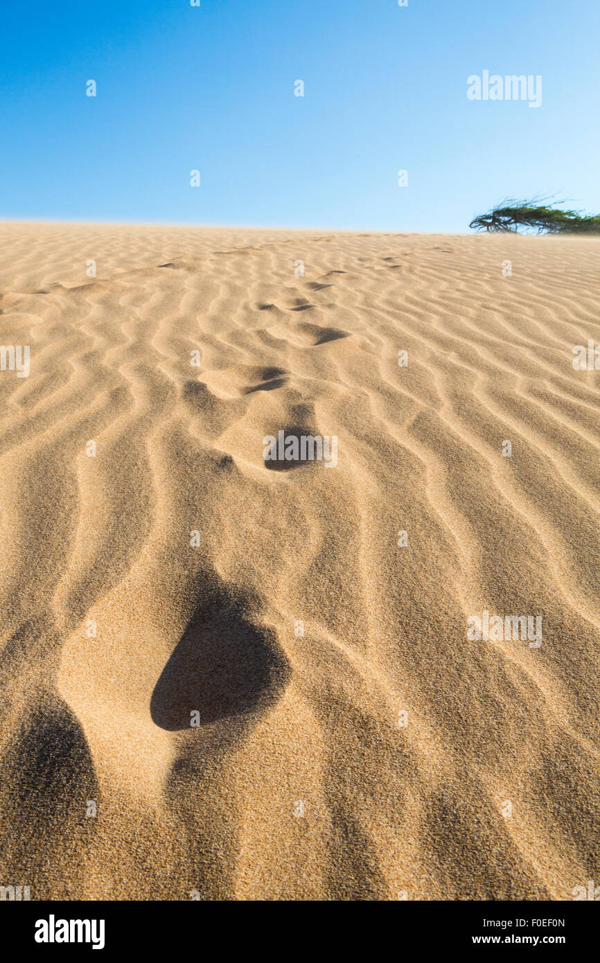 Colombia sand desert guajira hi-res stock photography and images - Alamy