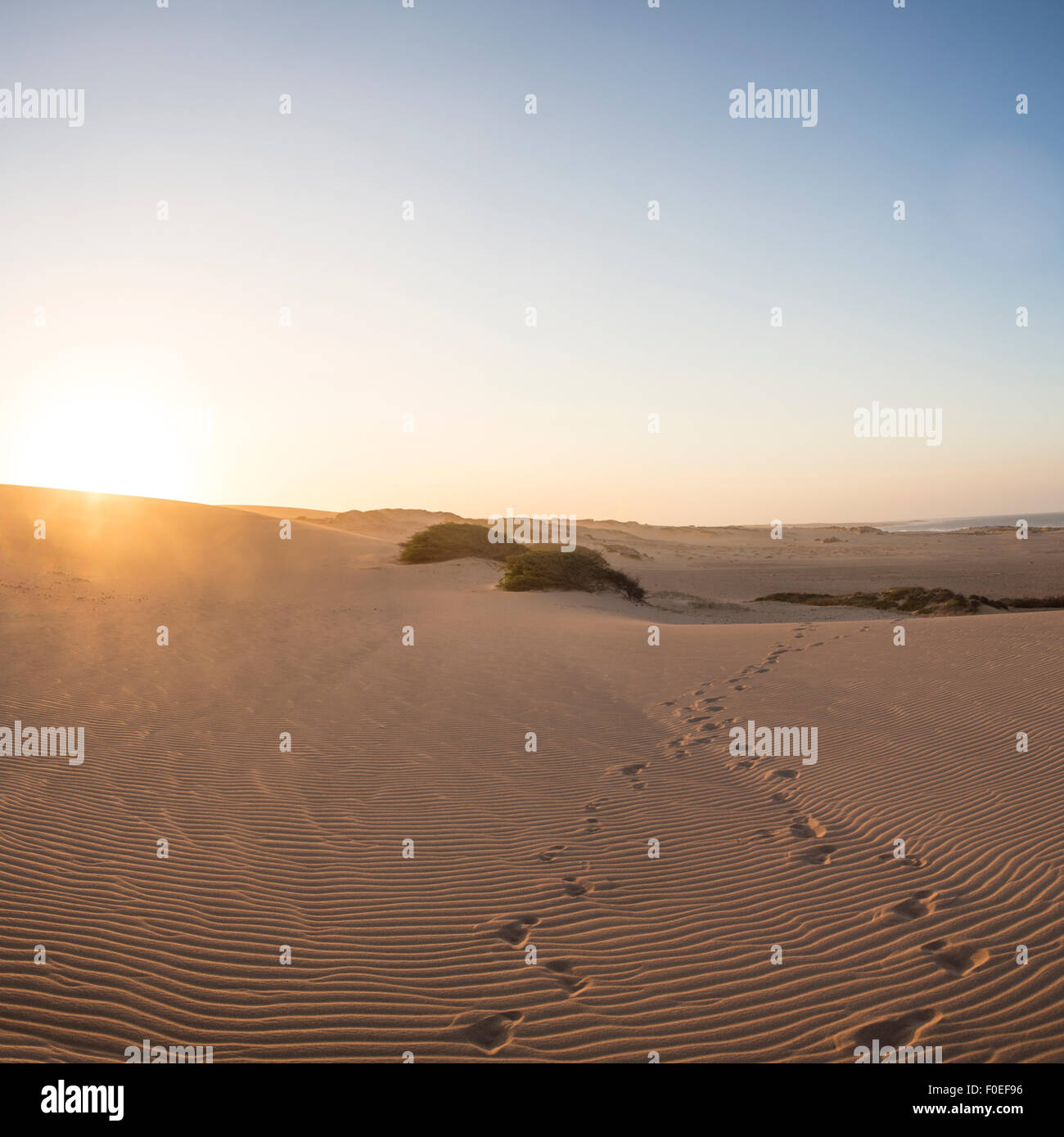 Colombian coastline in La Guajira near Punta Gallinas, Colombia 2014 ...