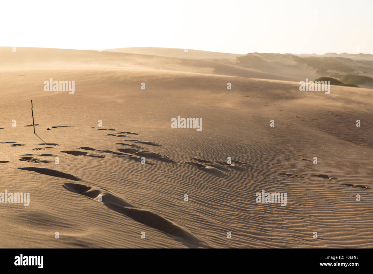 Colombian coastline in La Guajira near Punta Gallinas, Colombia 2014 ...
