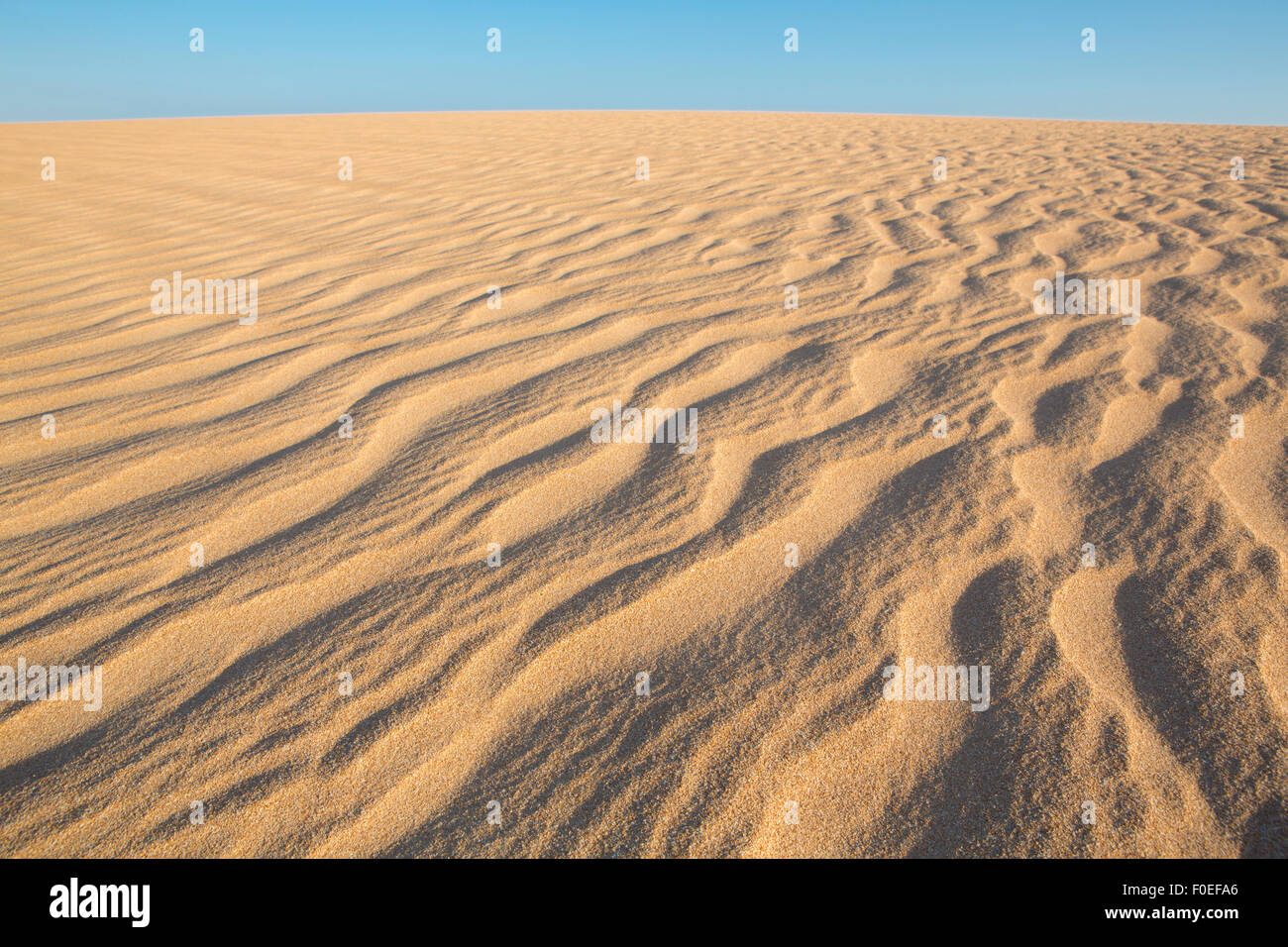 Colombian coastline in La Guajira near Punta Gallinas, Colombia 2014 ...