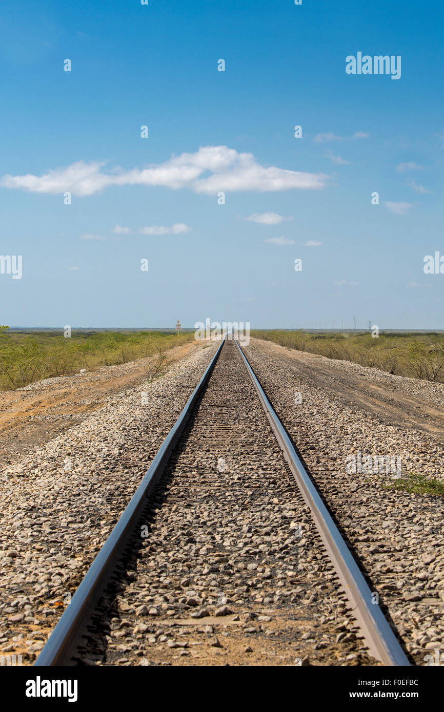 Long train tracks to the horizon in Punta Gallinas, La Guajira ...