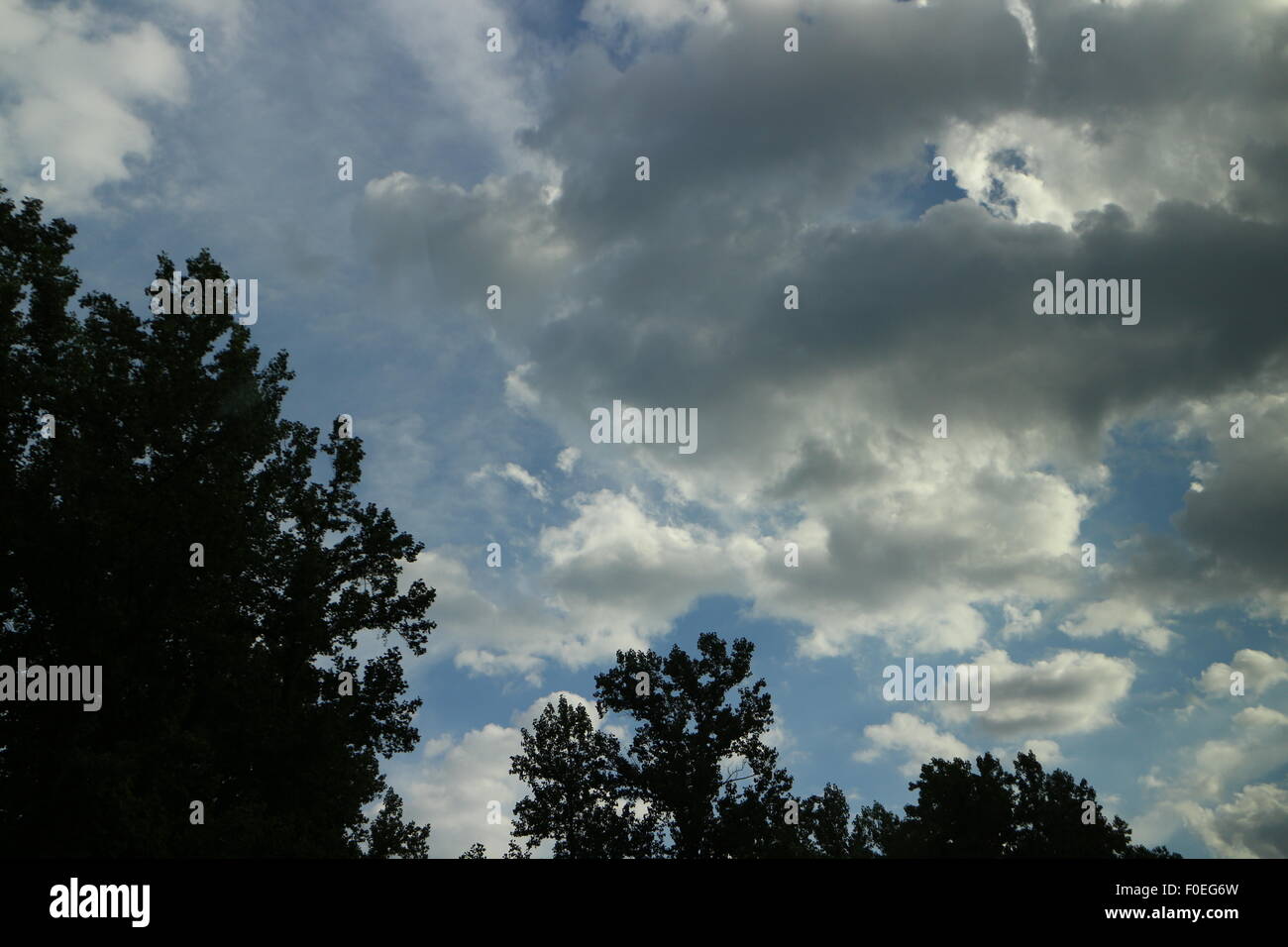 Roadside scenery, afternoon sky covers trees Stock Photo - Alamy