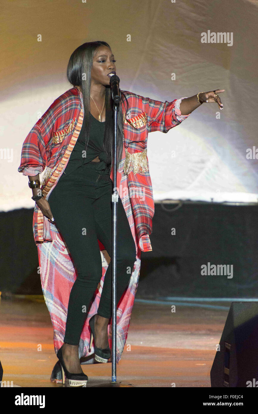 Philadelphia, Pennsylvania, USA. 13th Aug, 2015. Grammy Award winner ...