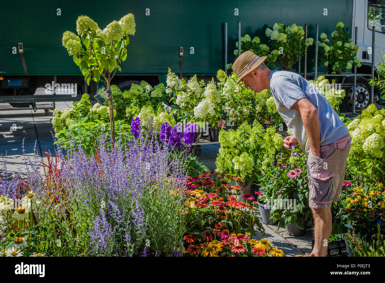 Ghent market flower kouter hi-res stock photography and images - Alamy