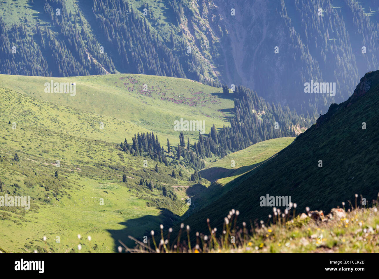 Summer mountain landscape in Almaty, Kazakhstan Stock Photo - Alamy