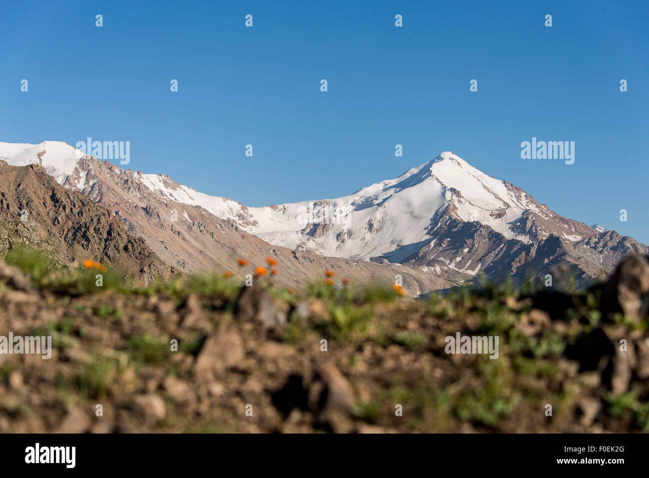 Summer mountain landscape in Almaty, Kazakhstan Stock Photo - Alamy