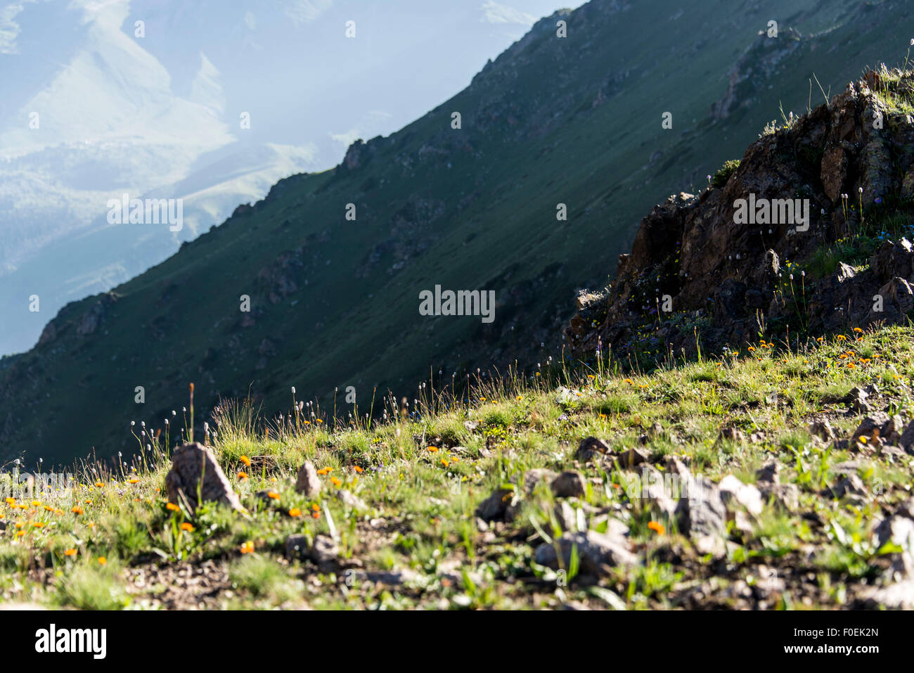 Summer mountain landscape in Almaty, Kazakhstan Stock Photo - Alamy