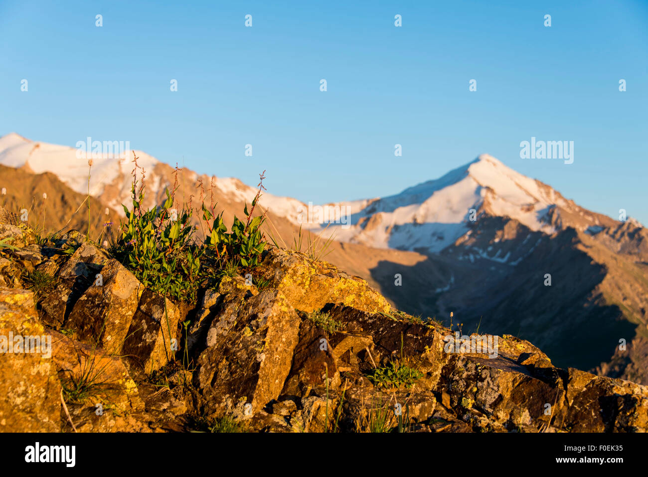 Summer mountain landscape in Almaty, Kazakhstan Stock Photo - Alamy