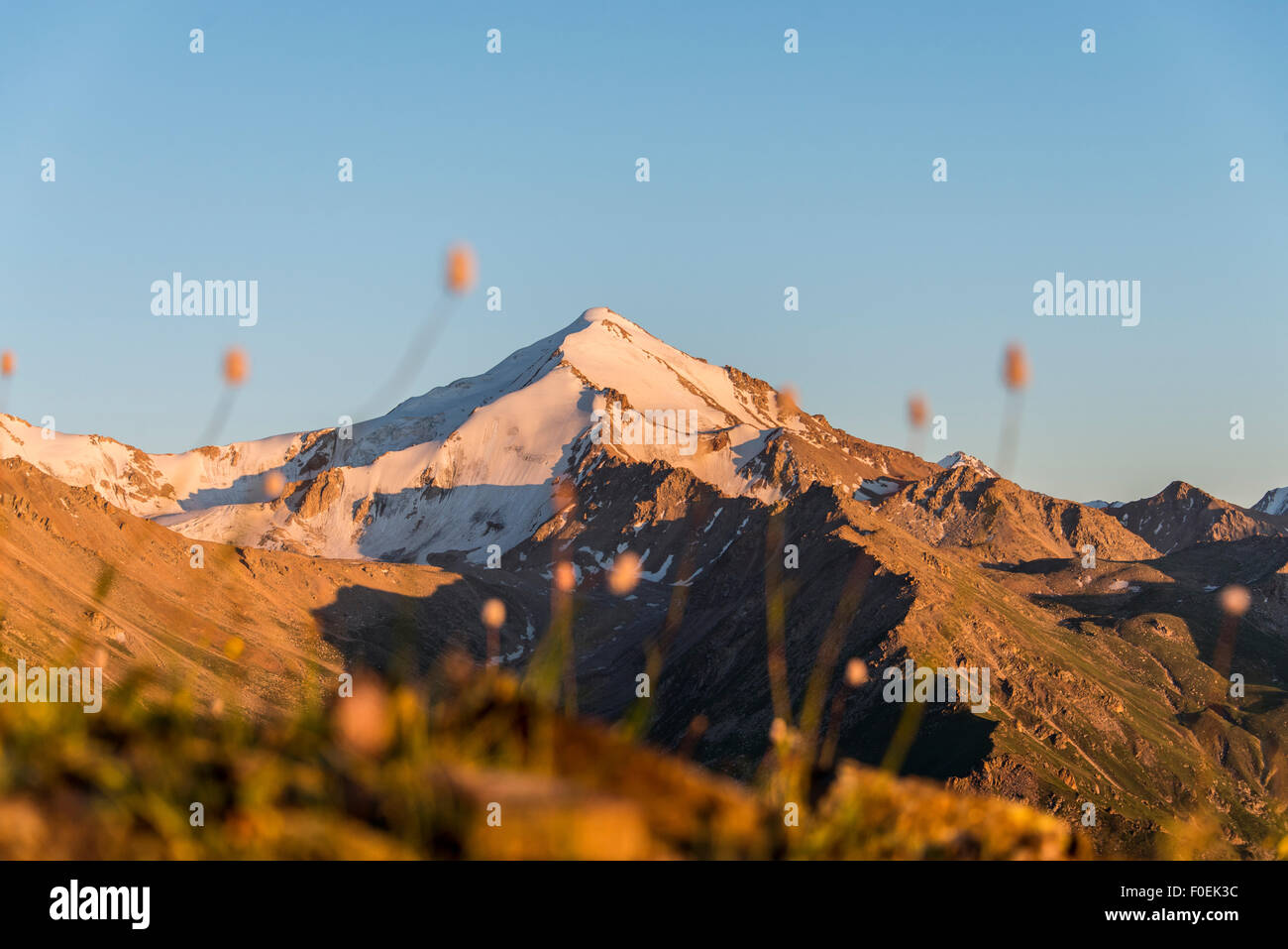 Summer mountain landscape in Almaty, Kazakhstan Stock Photo - Alamy