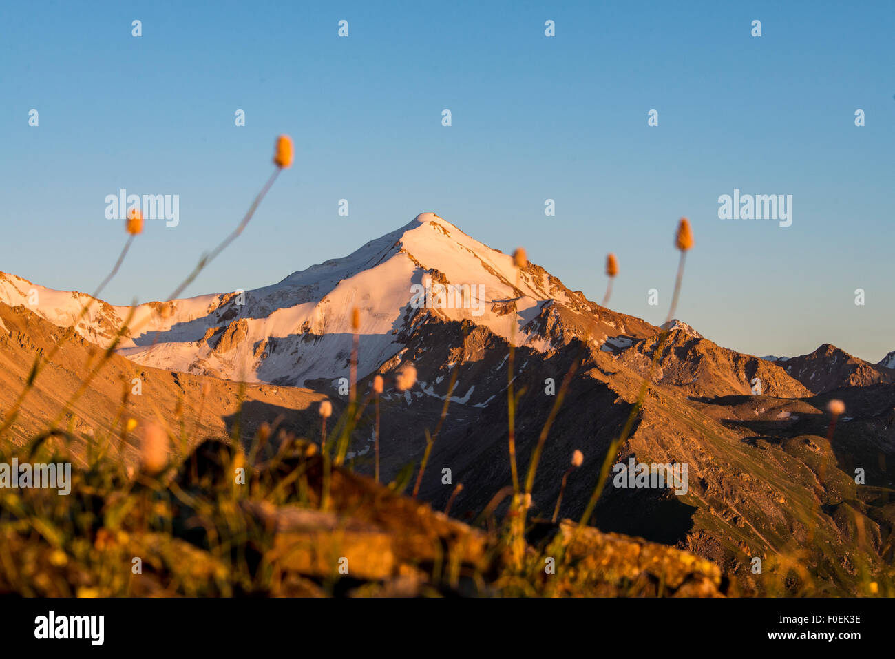 Summer mountain landscape in Almaty, Kazakhstan Stock Photo - Alamy