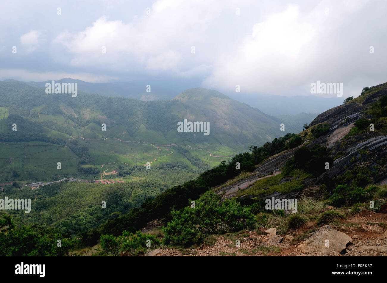 Neelagiri hi-res stock photography and images - Alamy