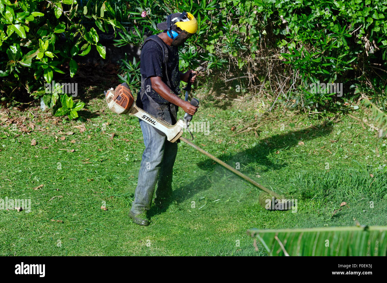 Cutting grass by hand hi-res stock photography and images - Alamy
