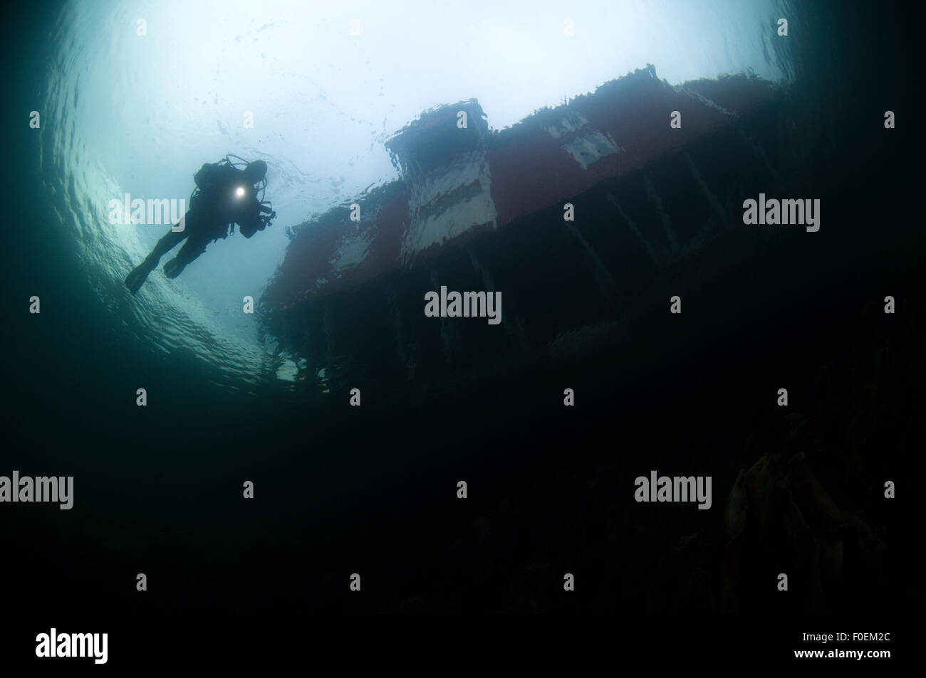 Klas Malmberg diving with a house on the coast visible above surface ...