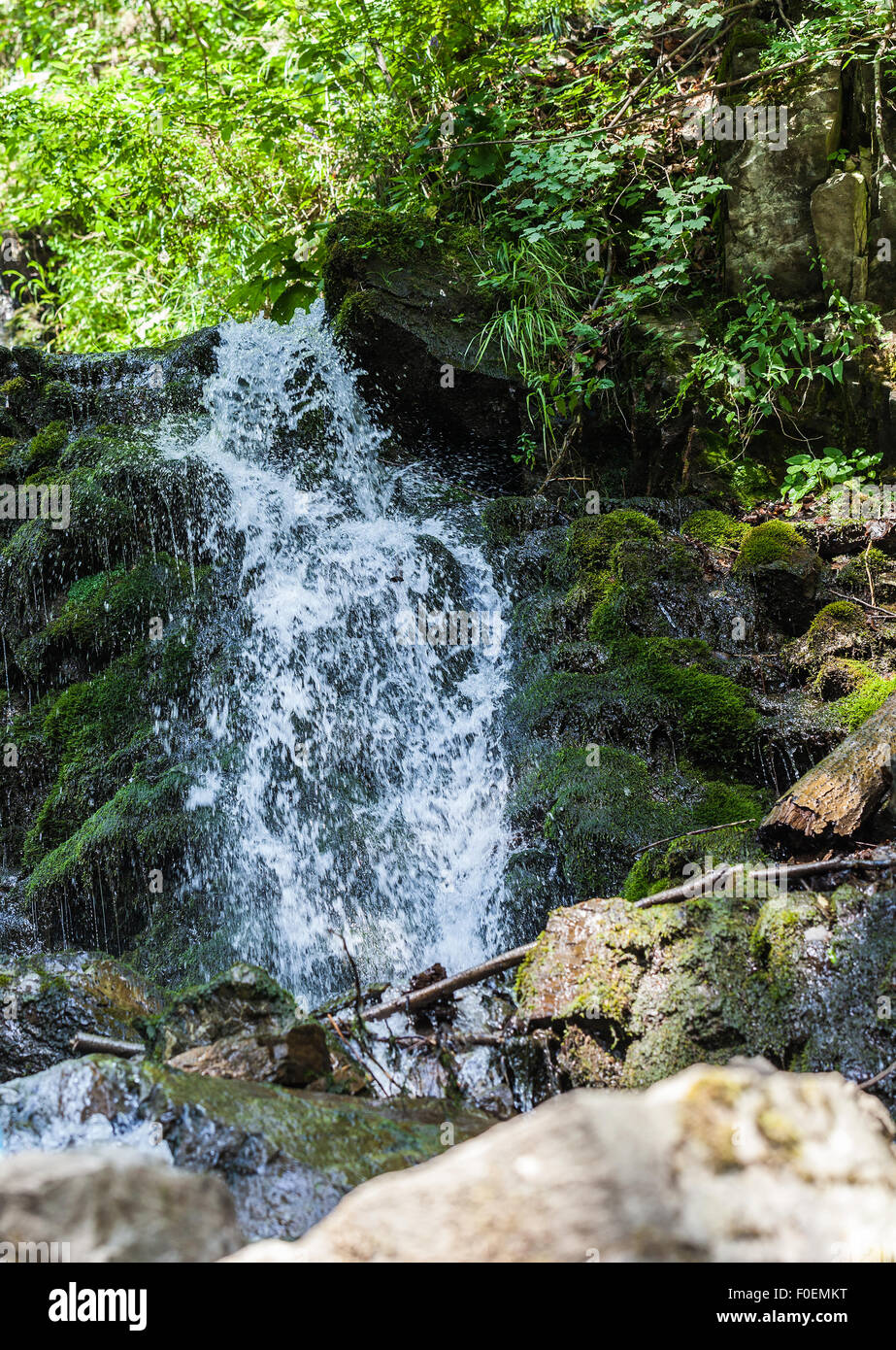 summer landscape waterfall in the Carpathian mountains Stock Photo - Alamy